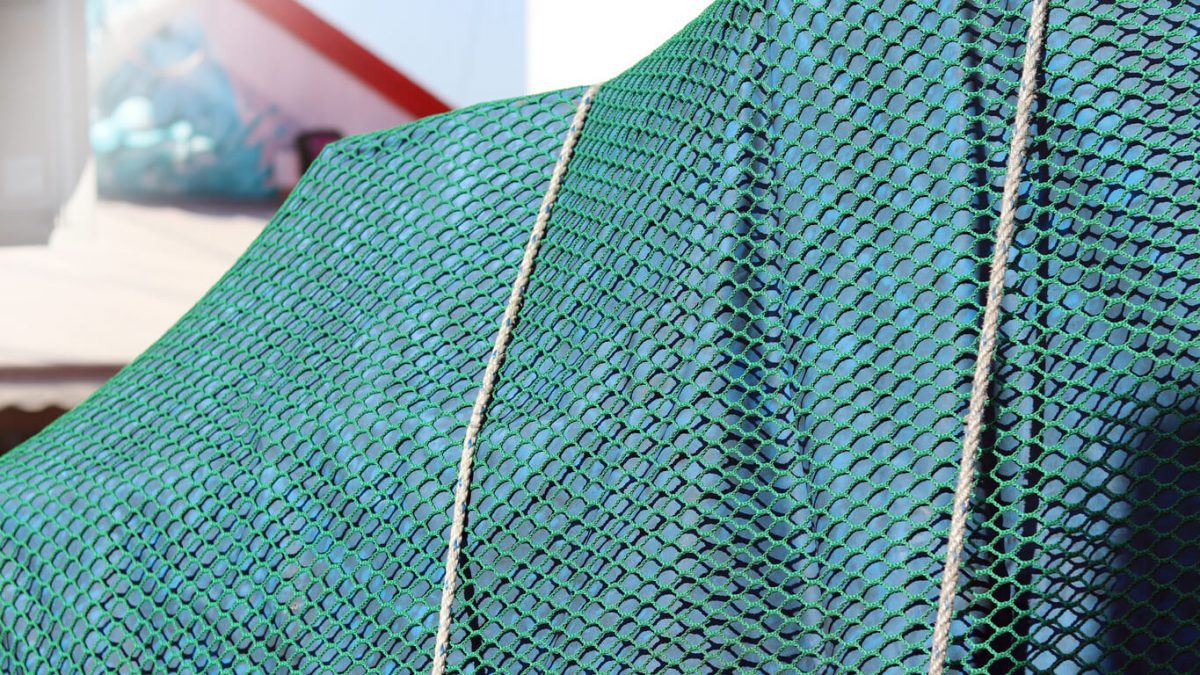 Netting Blog | Commercial Netmakers - Perth, Australia