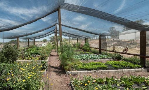 A Guide to Using Shade Cloth in Your Garden